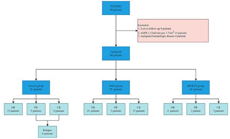 Is Immunomodulatory Therapy For Proliferative Gn With Immunoglobulin Deposition Pgnmid The Future