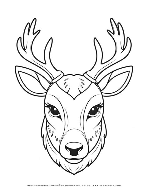 Coloring Page Deer Head Educational Printable