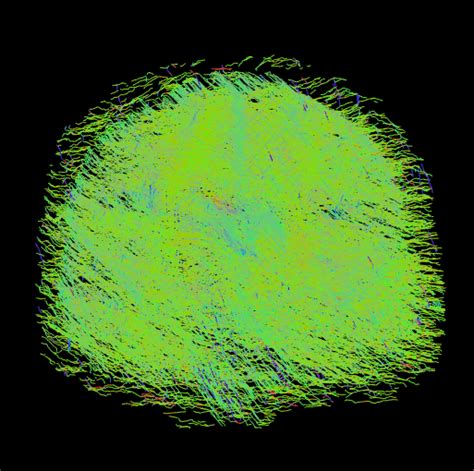 Does Anyone Have Experience Using Diffusion Toolkit On Human Connectome