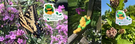 Edge Of The Woods Native Plant Nursery Llc Specializing In Plants