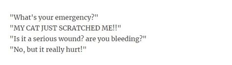 911 Operators Share 65 Outrageous Calls They Have Received On The Job