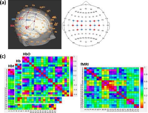 Predicting Cortical Thalamic Functional Connectivity Using Functional