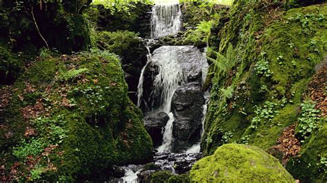 Waterfalls Canonteign Falls
