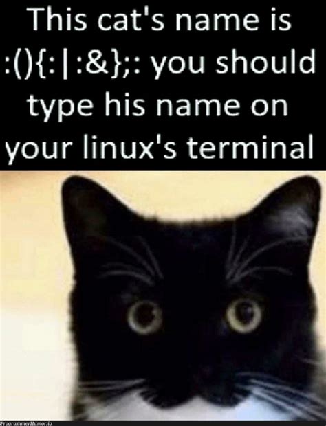 Typeit Programmerhumor Io