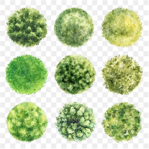 png tree top view element premium png rawpixel