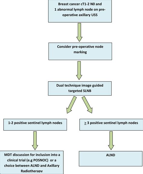 Ultrasound Positive Axillary Lymph Nodes In Early Breast Cancer Can A Patient Subgroup Avoid