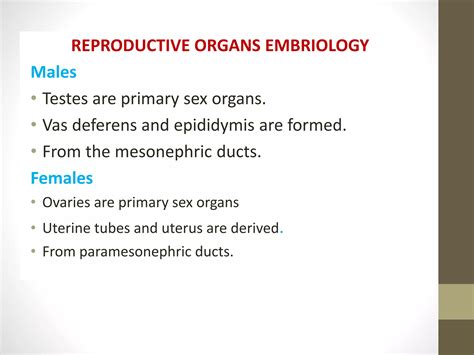Pelvic Cavity Im Pptx