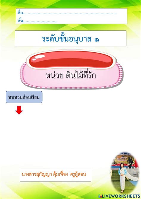 ใบงานอนุบาล 1 Worksheet Live Worksheets