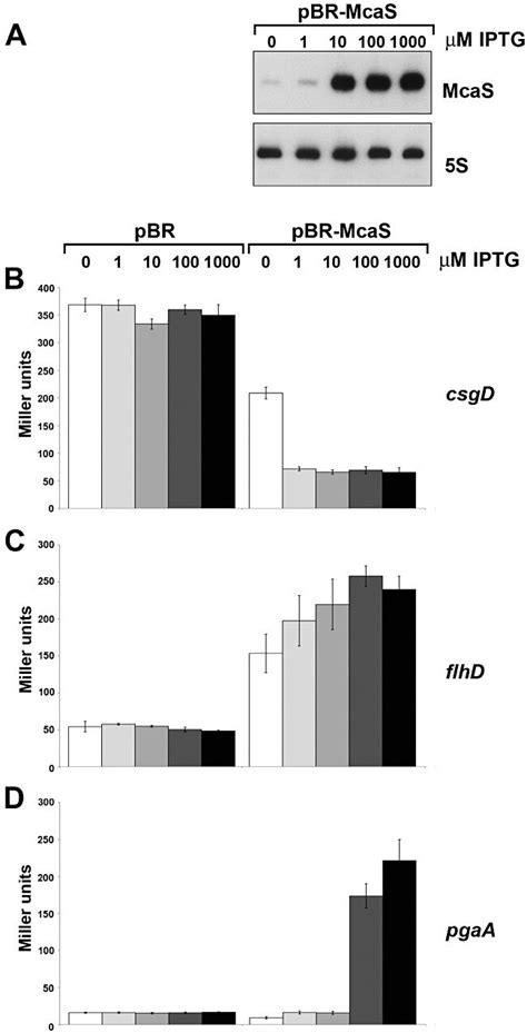 Mcas Targets Display Varying Sensitivity To Mcas Levels A Mcas Levels