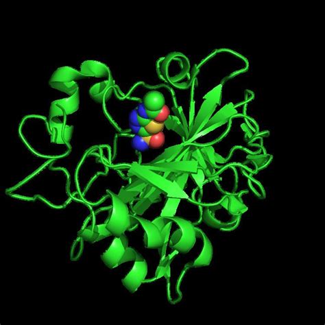 Ca14 Alchetron The Free Social Encyclopedia