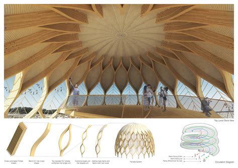 Architecture Project Cross Laminated Timber Structure Elevating