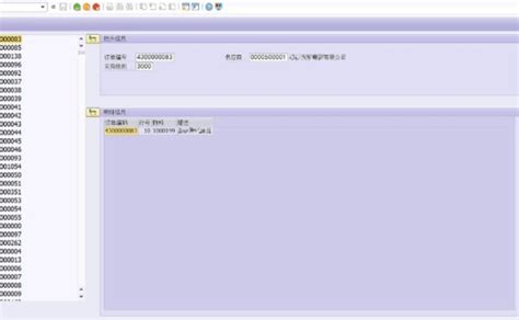 ALV报表 SAP代码网