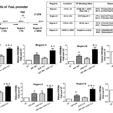 Acrolein Upregulates Fasl Expression And Enhances Fasl Fas Mediated