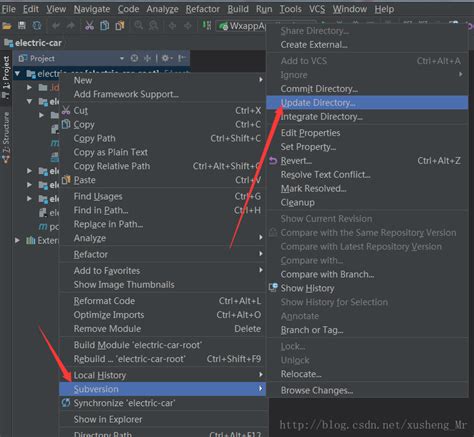 Intellij Idea结合svn使用步骤 （笨蛋式教学）~idea连接svn步骤 Csdn博客