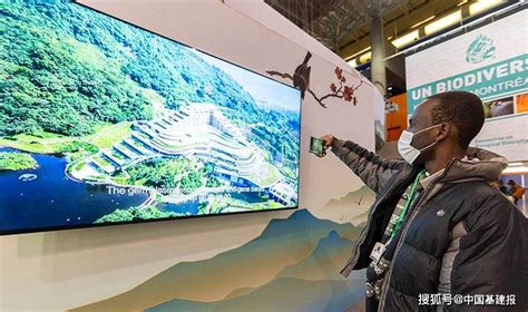 Cop15中国角向与会者开放 搜狐大视野 搜狐新闻