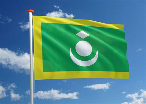 Ladakhi Vlag Bestel Bij Mastenenvlaggen Nl