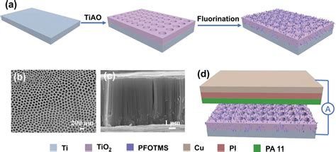 A Schematic Illustration Of Preparation Process Of Titanium Oxide