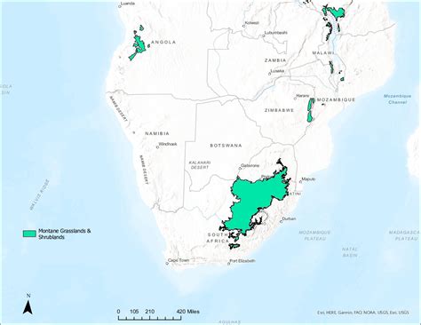 Temperate Grassland Ecosystems Earthhome Evolution