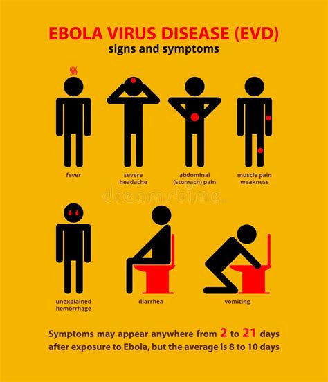 Ebola Symptoms Infographic Stock Illustration Illustration Of