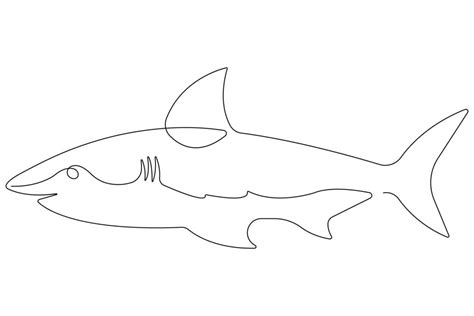 Shark Outline Vector Art Icons And Graphics For Free Download