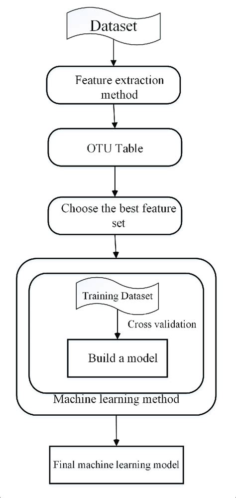 The Main Steps Of Machine Learning In Microbiology Download