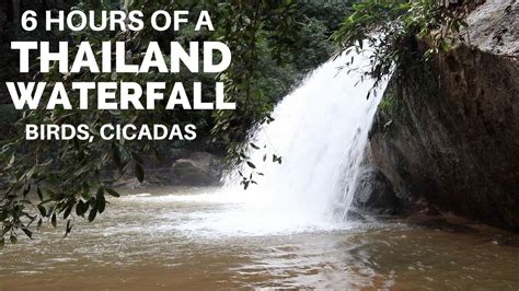 6 Hours Of Relaxing Waterfall And Jungle Sounds Youtube