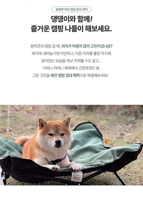 강아지 리빙 강아지 고양이 애견 캠핑 침대 해먹 M L 오늘의집 쇼핑