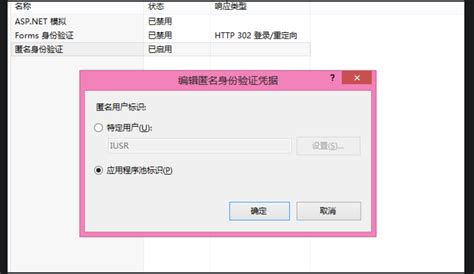 Iis C System Unauthorizedaccessexception