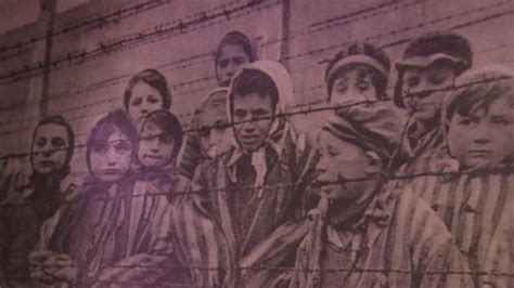 Auschwitz 70th Anniversary Survivors Warn Of New Crimes Bbc News