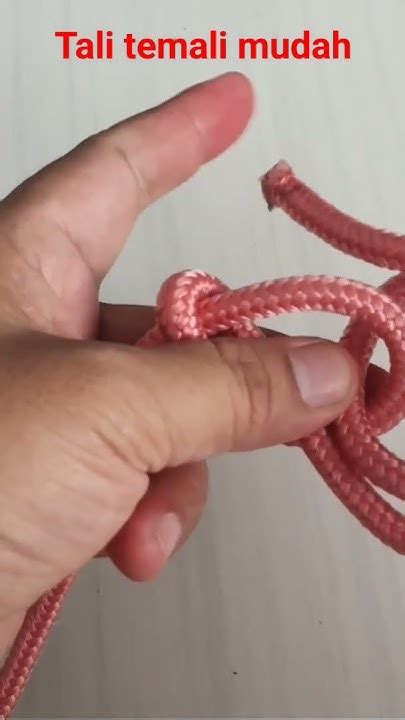 Tali Temali Mudah Simpulmudah Shorts Youtube