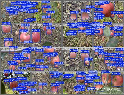 基于yolo11深度学习的果园苹果检测与计数系统设计与实现【python源码pyqt5界面数据集训练代码】 知乎