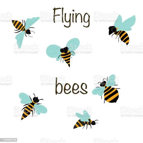 Ilustración De Conjunto De Abejas Voladoras De Seis Tipos De Abejas Y