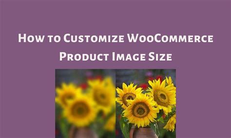 How To Customize Woocommerce Product Image Size And Fix Blurry Images Starcatwp