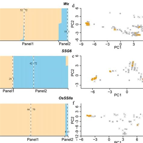 Admixture Patterns And Principal Component Analysis For Three Key Genes Download Scientific