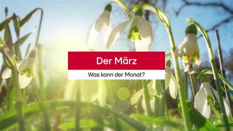 7 Tage Wettertrend Kältevorstoß Lässt Den Frühling Wackeln