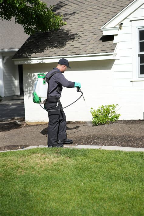 Cockroach Pest Control Hawx Pest Control