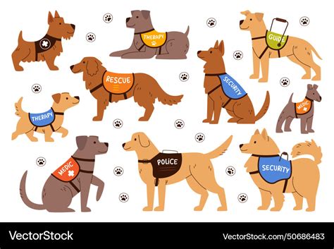 Trained Security Medical Guide Therapy Royalty Free Vector