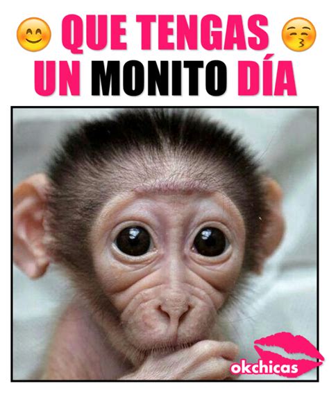 20 Imágenes que son mejor que un simple buenos días Chistes de