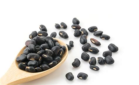 Pacifex Fertilizantes El Cultivo Del Futuro El Frijol