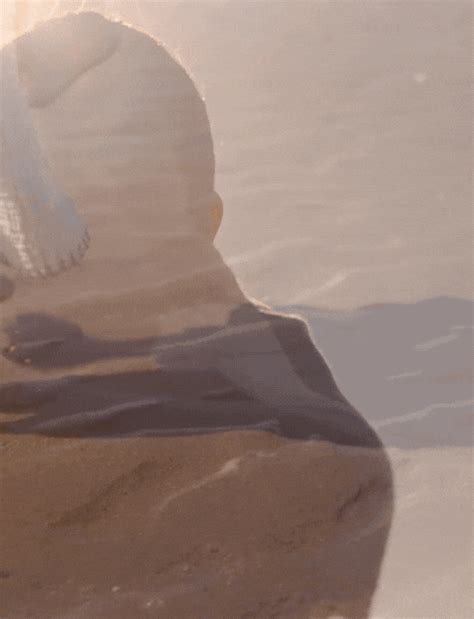 Essentials Summer Edition Quax