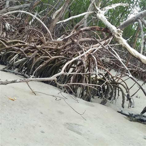 Praia Do Ajiru Ou Praia Do Paraiso 2024 All You Need To Know Before