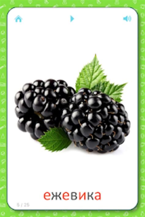 Овощи и фрукты для малышей For Android Download