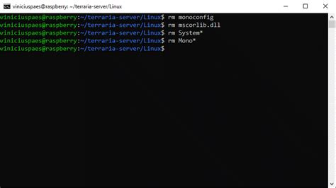 Tutorial Como Criar Servidor De Terraria No Raspberry Pi Vinicius Paes