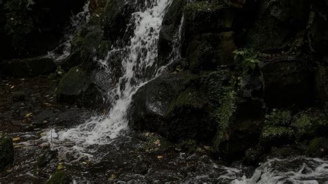 Relaxing Waterfall Sounds 40 Minutes Pure Relaxation And Nature Sounds