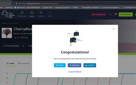 Mohammed Mirsah Ps On Linkedin Internship Cybersecurity Tryhackme