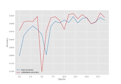 Multi Class Semantic Segmentation Using Dinov2