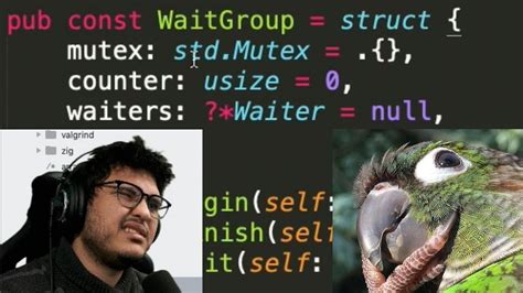 Livecoding Implementing Waitgroup In Zig With Kprotty Youtube