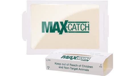 15 Best Roach Traps To Keep Your Home Pest Free Tried And Tested Soul Sanctuaries