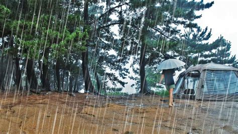 귀가 먹먹한 폭우속 텐트안에서 막창에 혼술 우중캠핑 Youtube