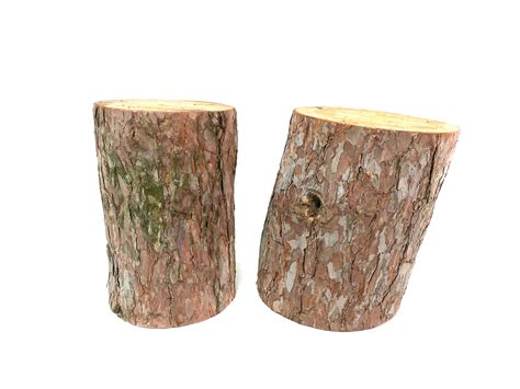 Tree Stumps